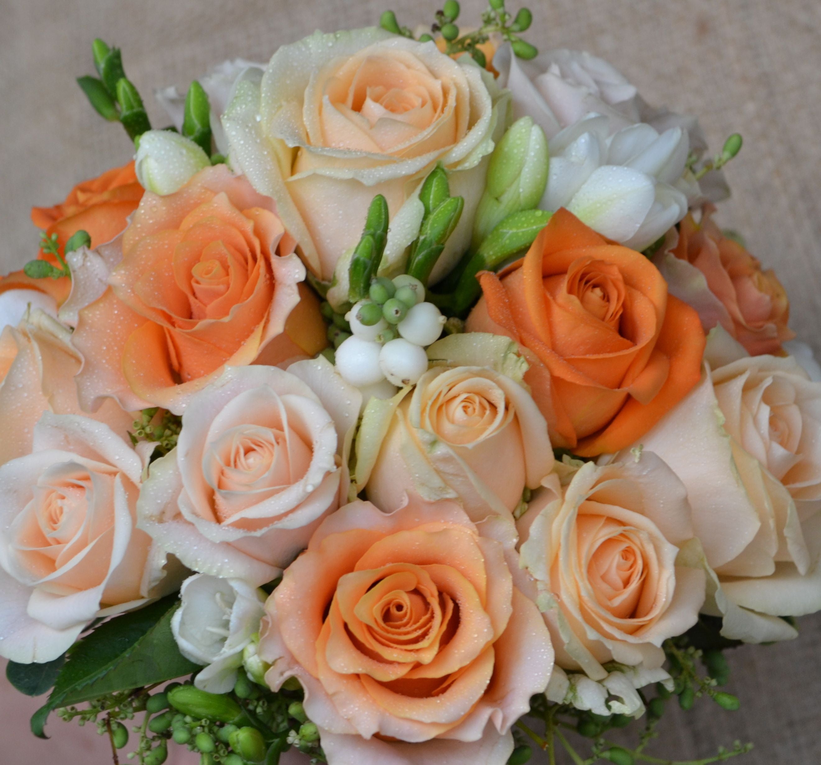Orange And White Roses