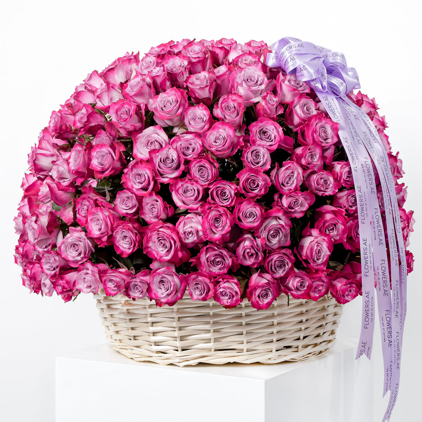 Rose Collection | Rose Flowers | Flowers.ae