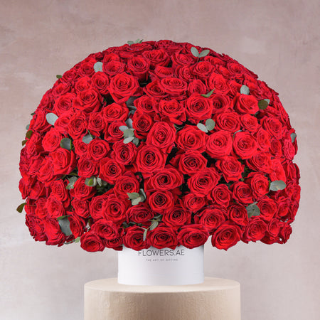 Red Rose Delivery Dubai - Flowers.ae