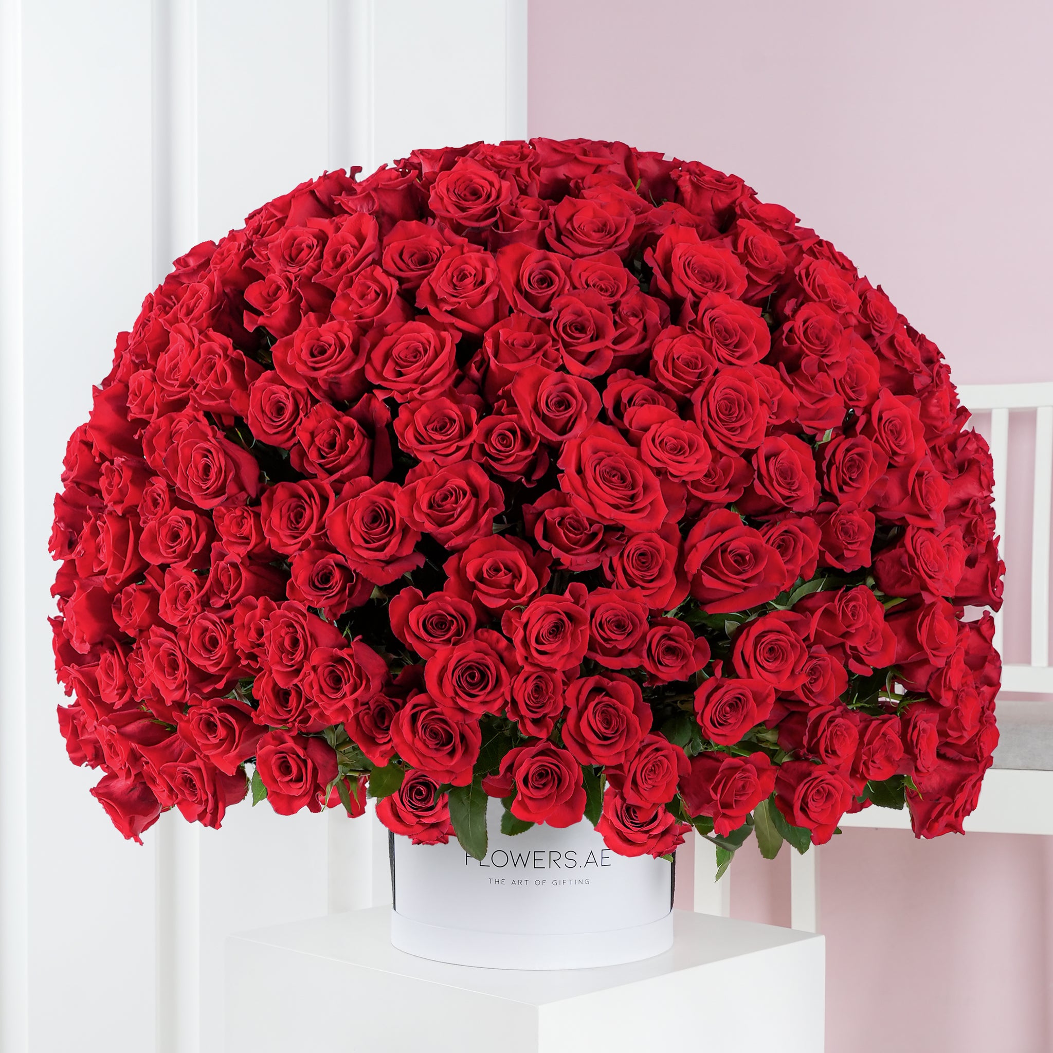 365 Red Roses Hatbox - Flowers.ae