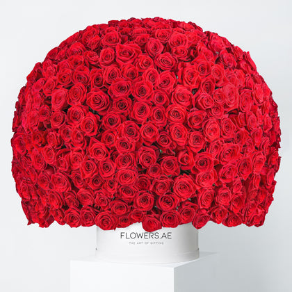 Red Rose Delivery Dubai - Flowers.ae