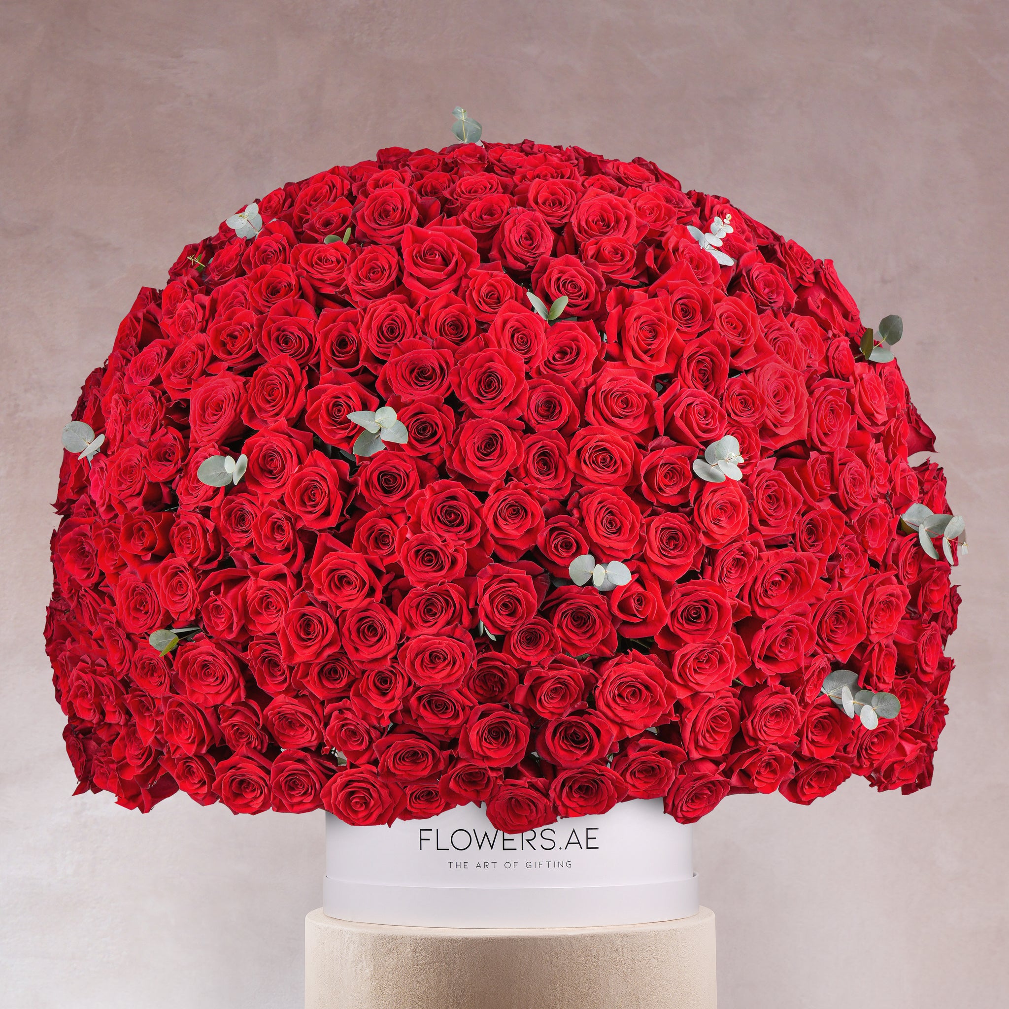 500 Red Roses XXL - Flowers.ae