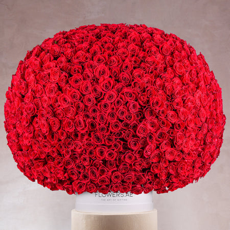 Red Rose Collection - Flowers.ae