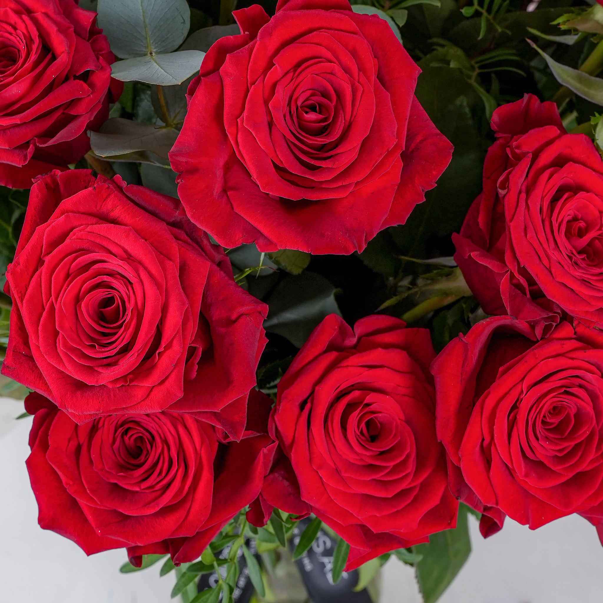 50 Red Roses - Vase | Free Same-Day Delivery to all Emirates - Flowers.ae