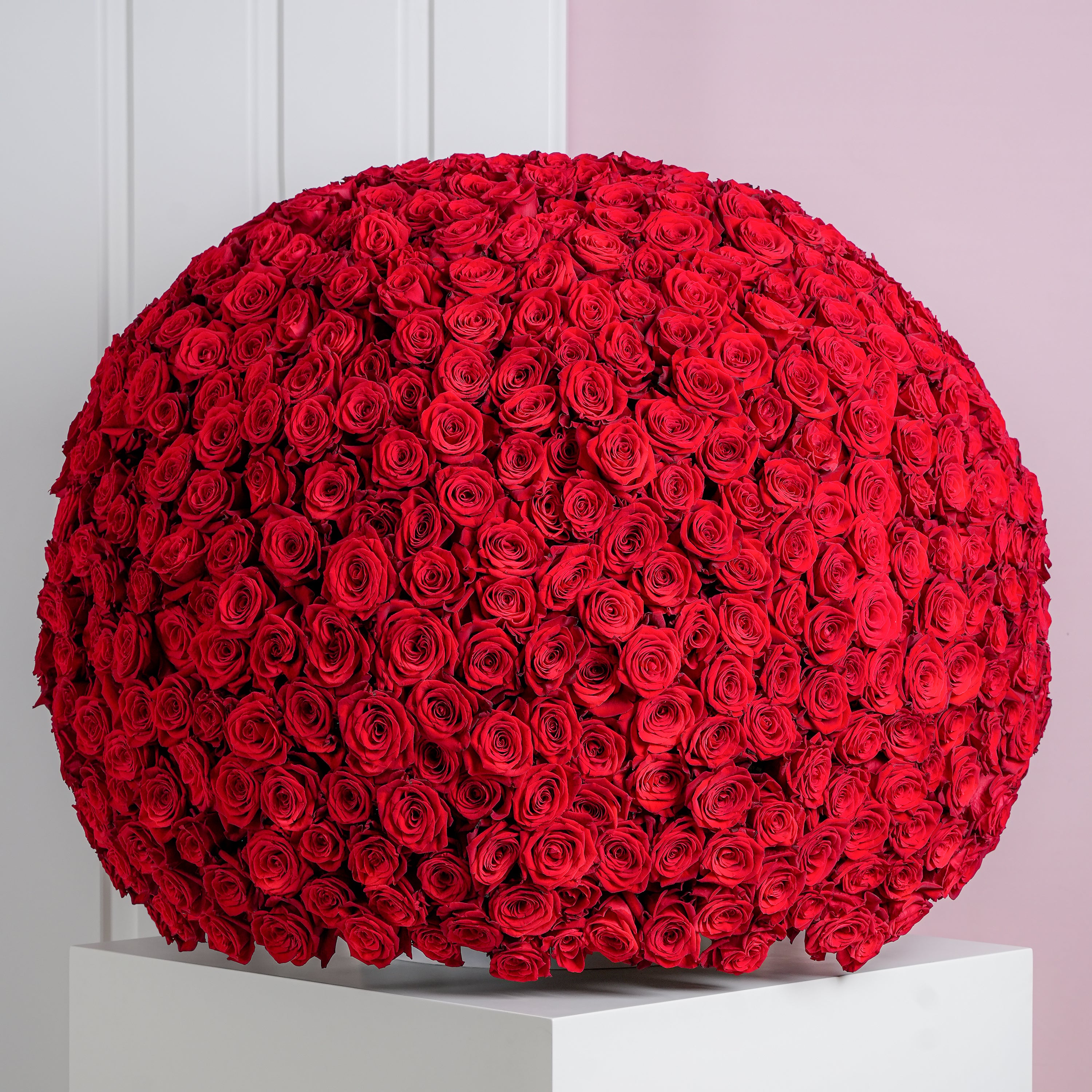 999 Red Roses - Hatbox | Free Same-Day Delivery to all Emirates ...