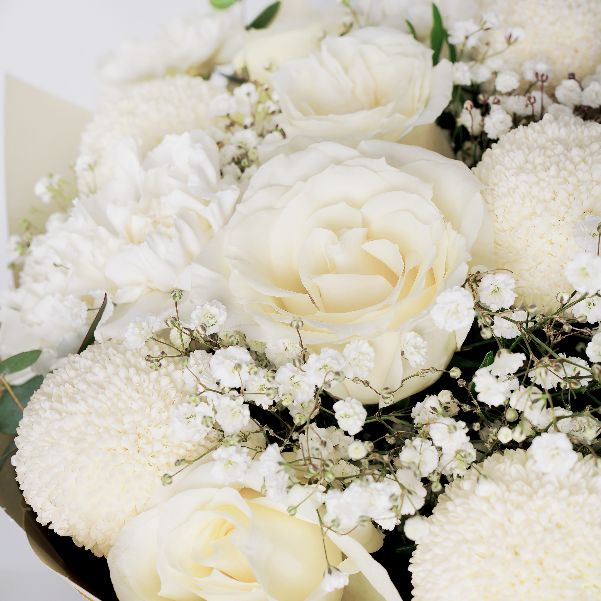 Ivory Classic | Free Same-Day Delivery to all Emirates - Flowers.ae