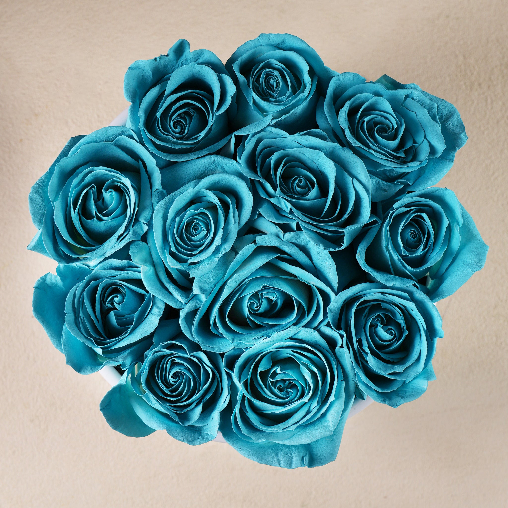 Petite Blue Roses - Hatbox | Free Same-Day Delivery to all Emirates ...