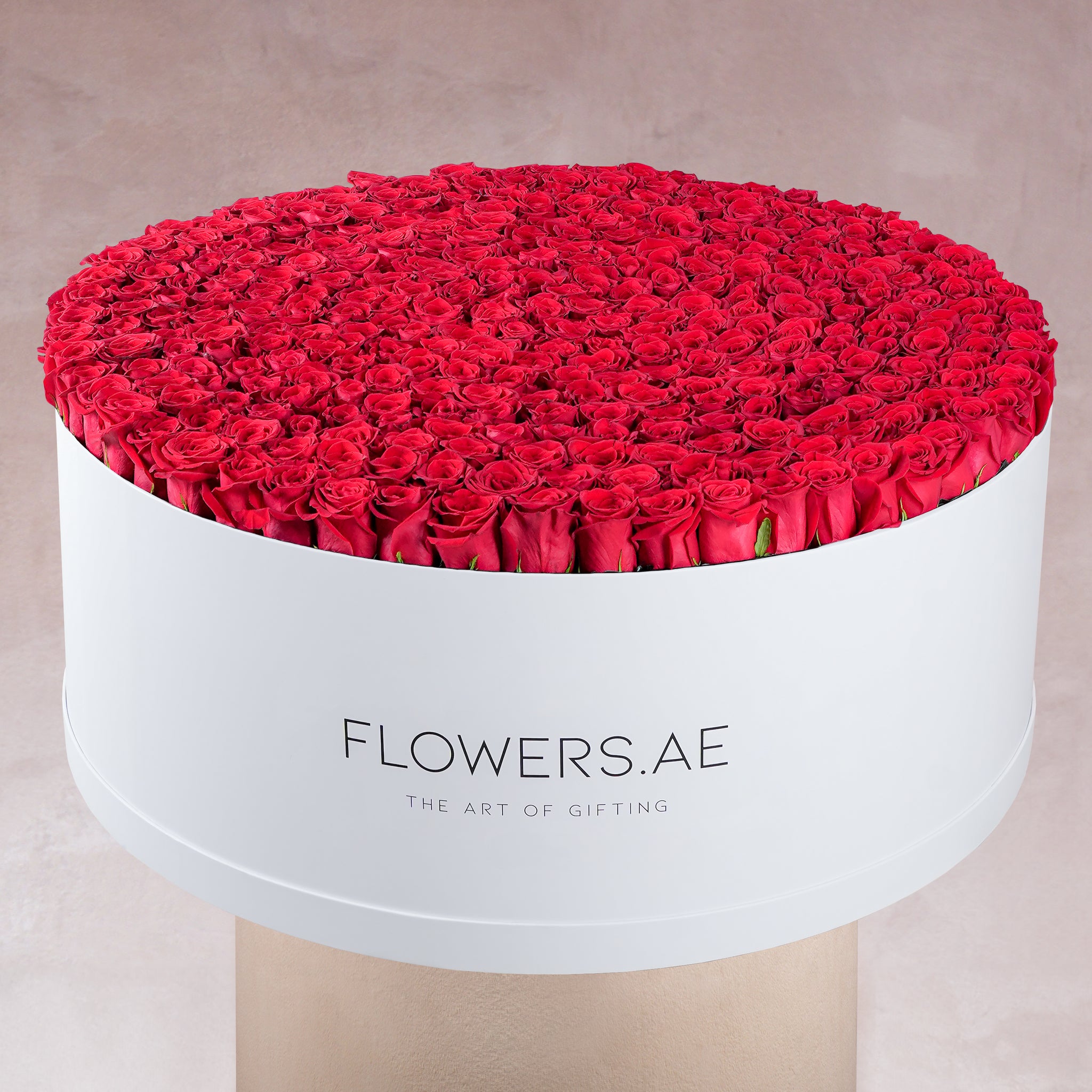 500 Red Roses - XXXL | Free Same-Day Delivery to all Emirates - Flowers.ae